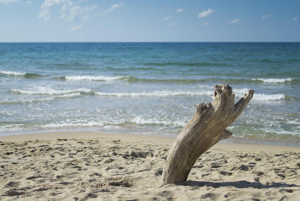 What Is a Baidarka? (with picture)