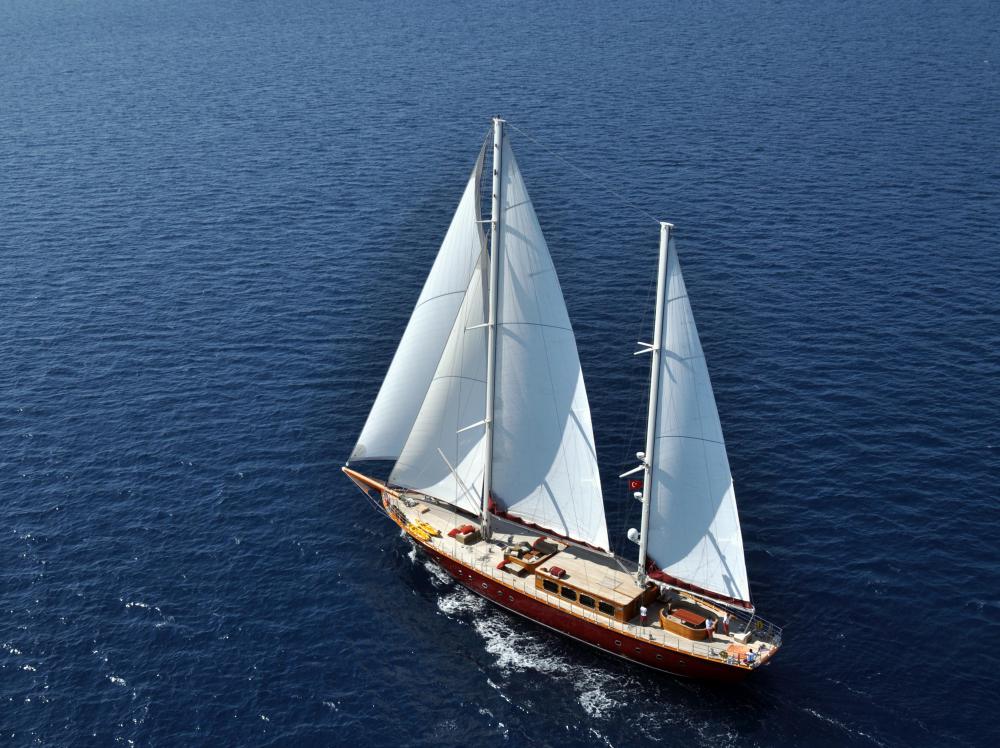 What is a Whisker Pole? (with pictures)